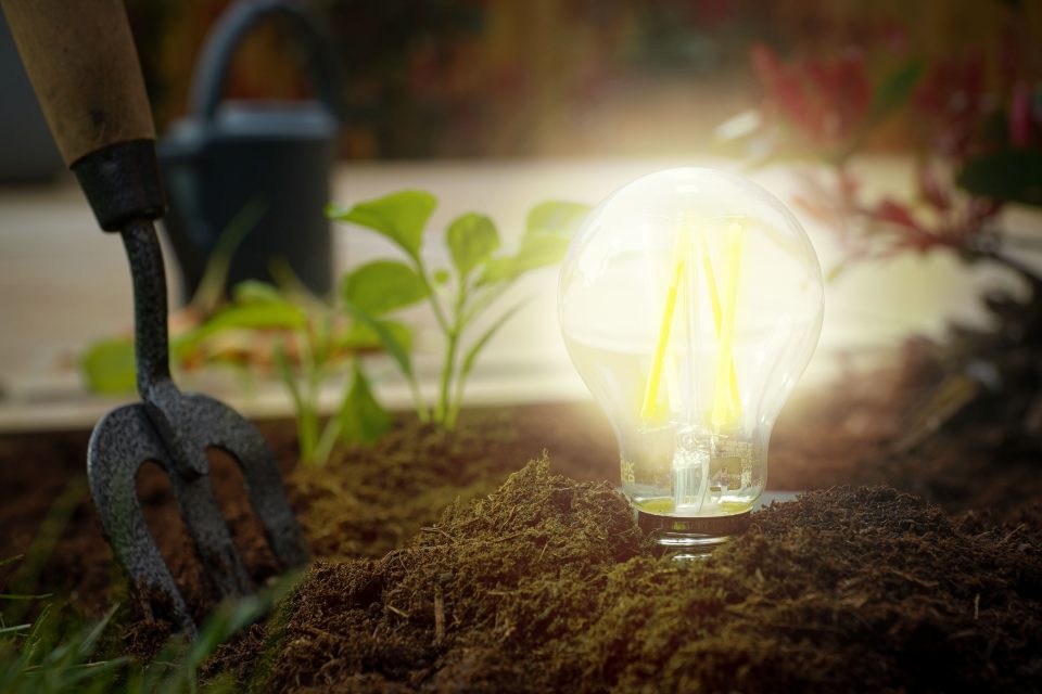 Soil-powered lightbulbs offer ground-breaking way to brighten up your ...
