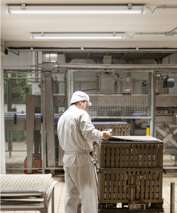 Signify launches Philips Pacific LED gen5 waterproof luminaire